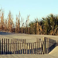 Bill Pay - Beach Municipal Federal Credit Union